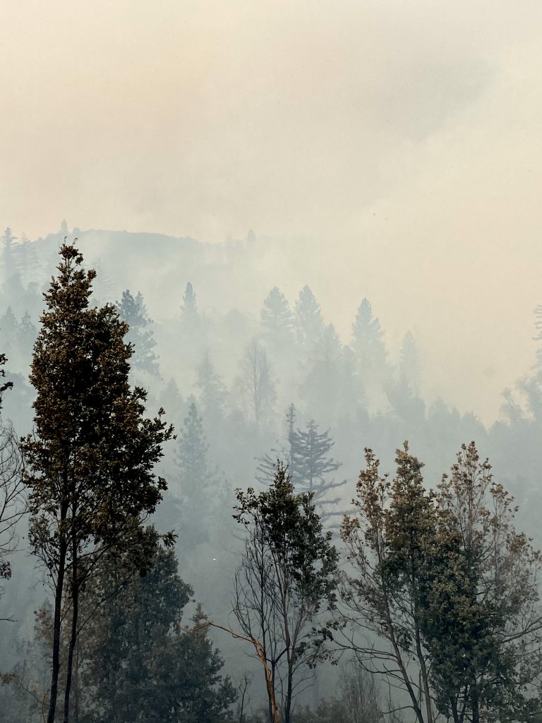 A Note from the Fireline - The Drift