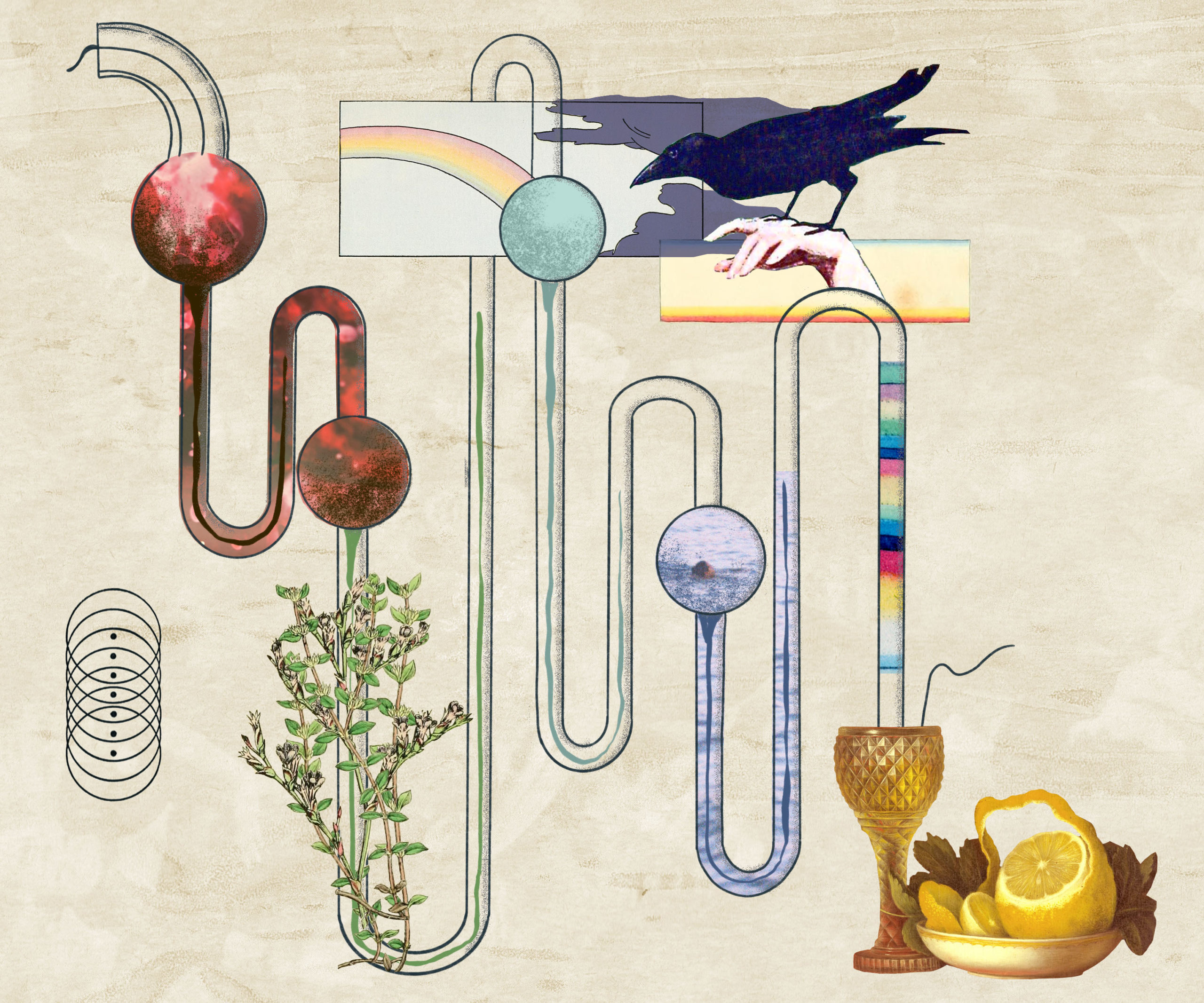 The Fool - The Drift