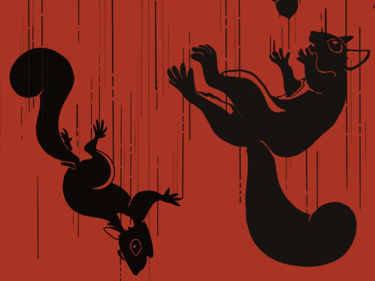 Tiny Beasts - The Drift